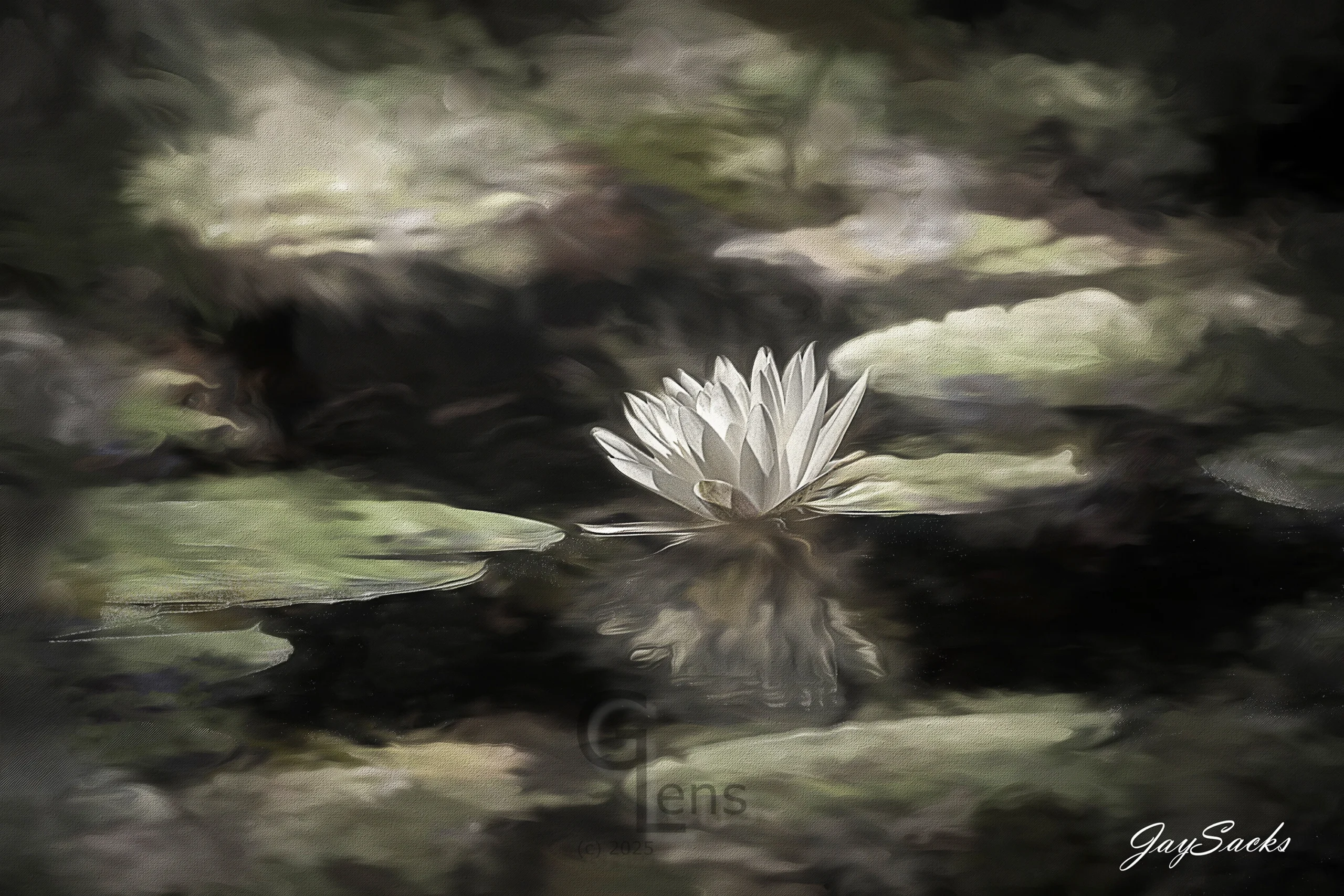 A Delicate Balance - Glorious Lens